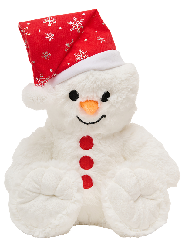 Frosty Snowman | Noah's Ark Animal Workshop