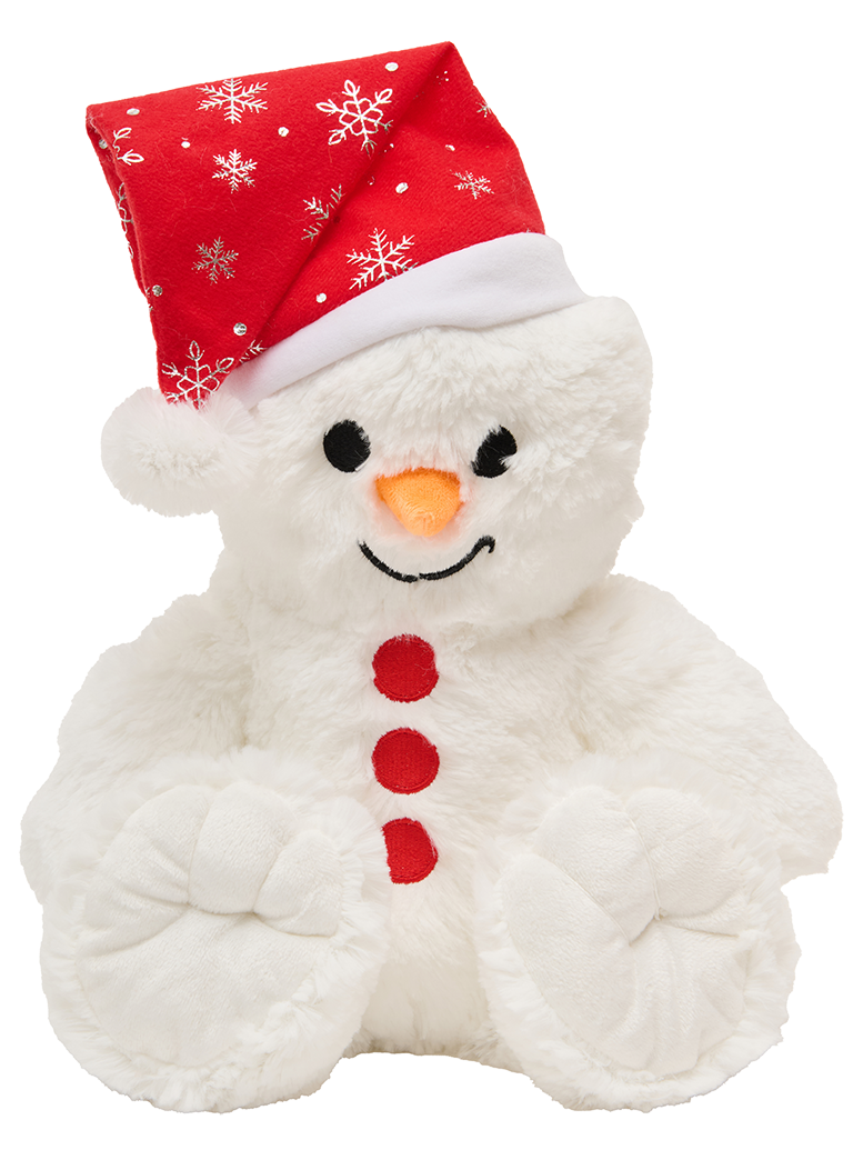 Frosty Snowman | Noah's Ark Animal Workshop