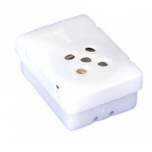 Frog Ribbit | Noah's Ark Workshop – Noah's Ark Animal Workshop